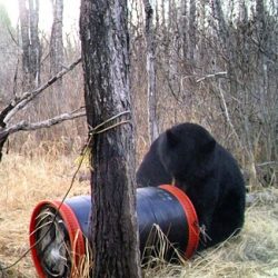 Johnson's Outfitters (Hunting) – Last Minute Hunting & Fishing : Last ...