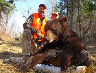 Bear paradise color phase – Last Minute Hunting & Fishing : Last Minute ...