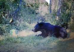 Johnson's Outfitters (Hunting) – Last Minute Hunting & Fishing : Last ...